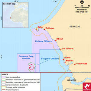Woodside targeting Senegalese oilfield production by 2022 - PESA ...